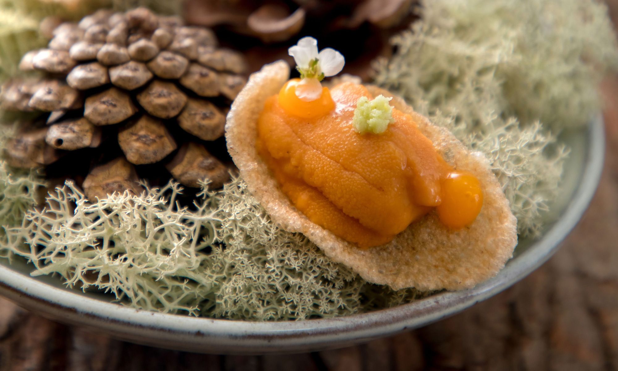 Review: Arbor Represents A Welcome Return To Quiet Finesse | Tatler Asia