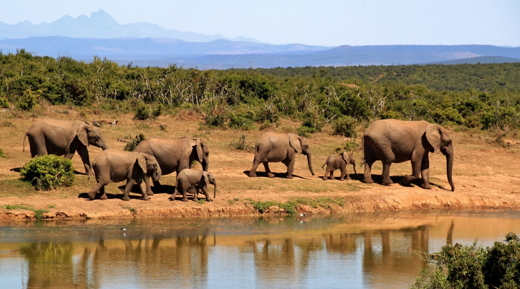 Gentle Giants: 3 Luxury Elephant Camps Around The World | Tatler Asia