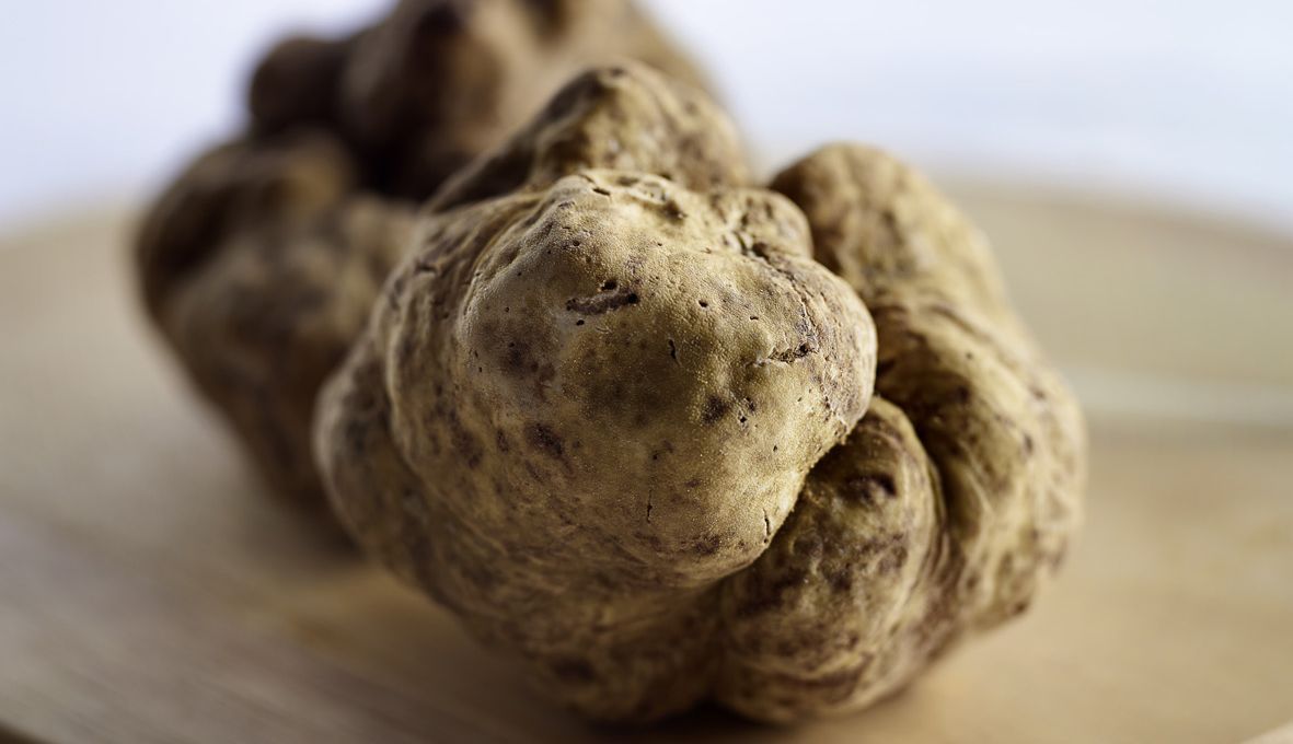 Alba White Truffle and Wild Game at Hugo’s | Tatler Asia