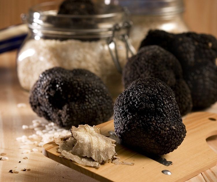 Black Truffle Delicacies at Sabatini | Tatler Asia