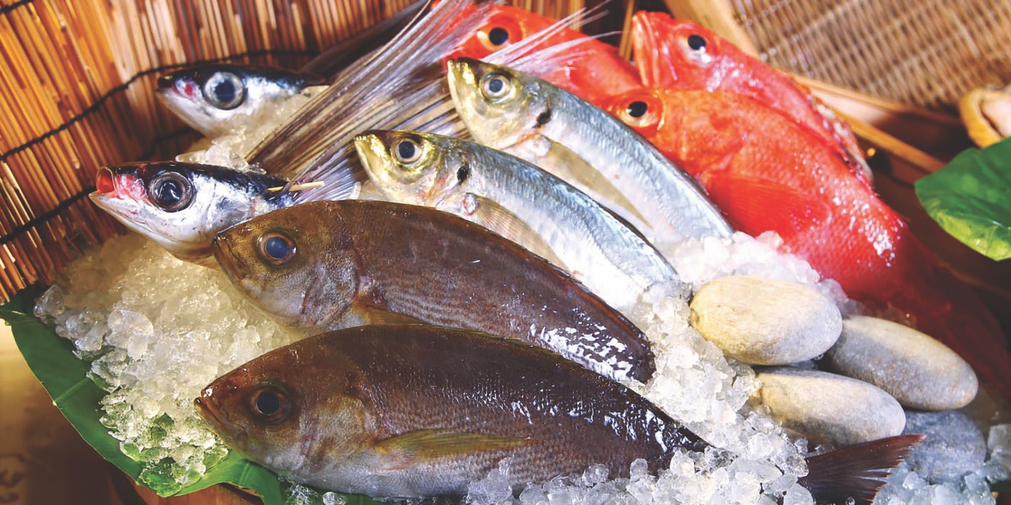 Robatayaki Launches Seasonal Fish Menu This Summer | Tatler Asia