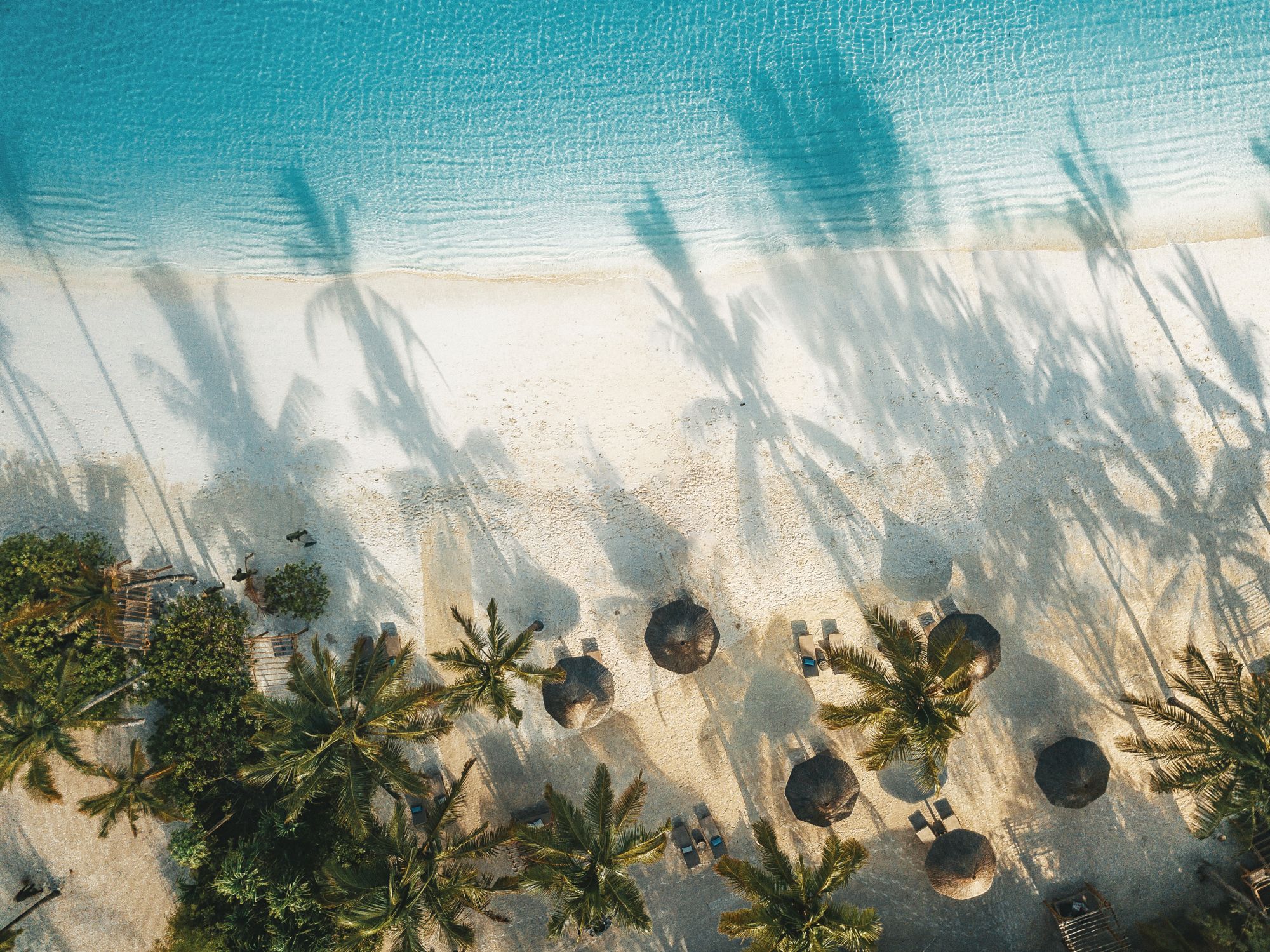 Discover Zanzibar: Where to Stay, Eat and Visit According To Travel ...