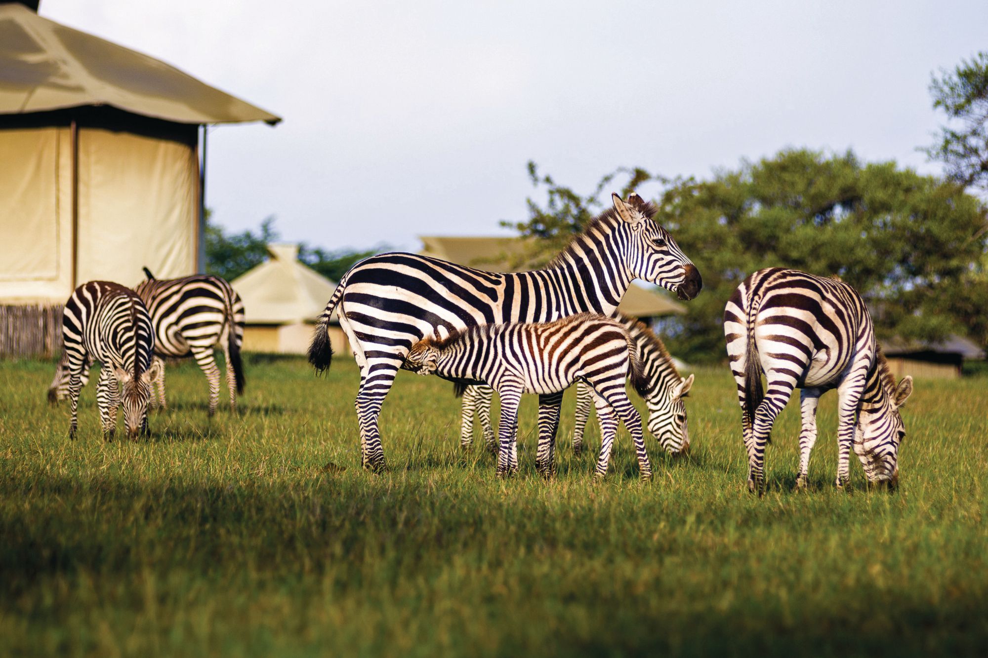 4 Wellness Retreats To Get Excited About In The Future | Tatler Asia