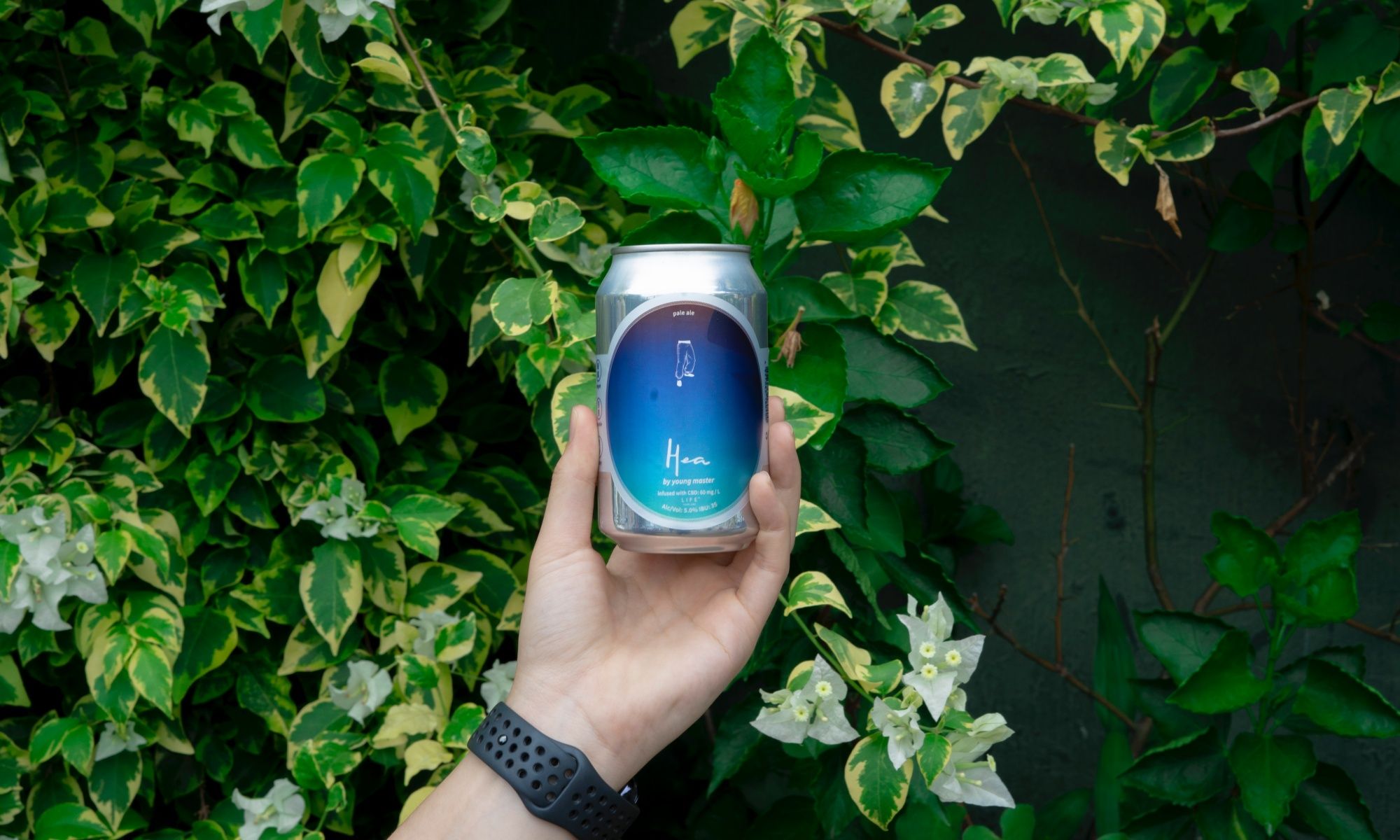 Where to Find CBD Beer in Hong Kong | Tatler Asia