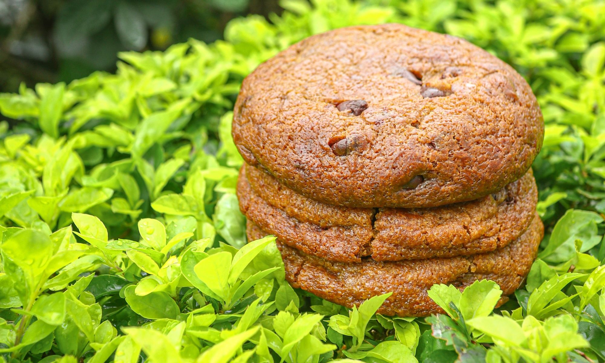 Limited-Edition Cookie DPT Cinnamon Rolls and Kobe Bryant Cookies ...