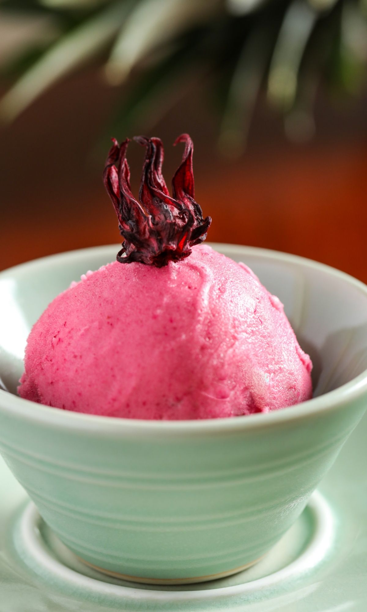 Autumn's Roselle Benefits More Than Good Health | Tatler Asia