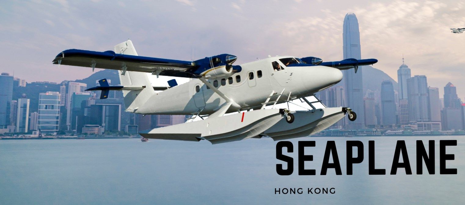 Seaplane Hong Kong Plans To Launch Passenger Drones By Late 2021 ...