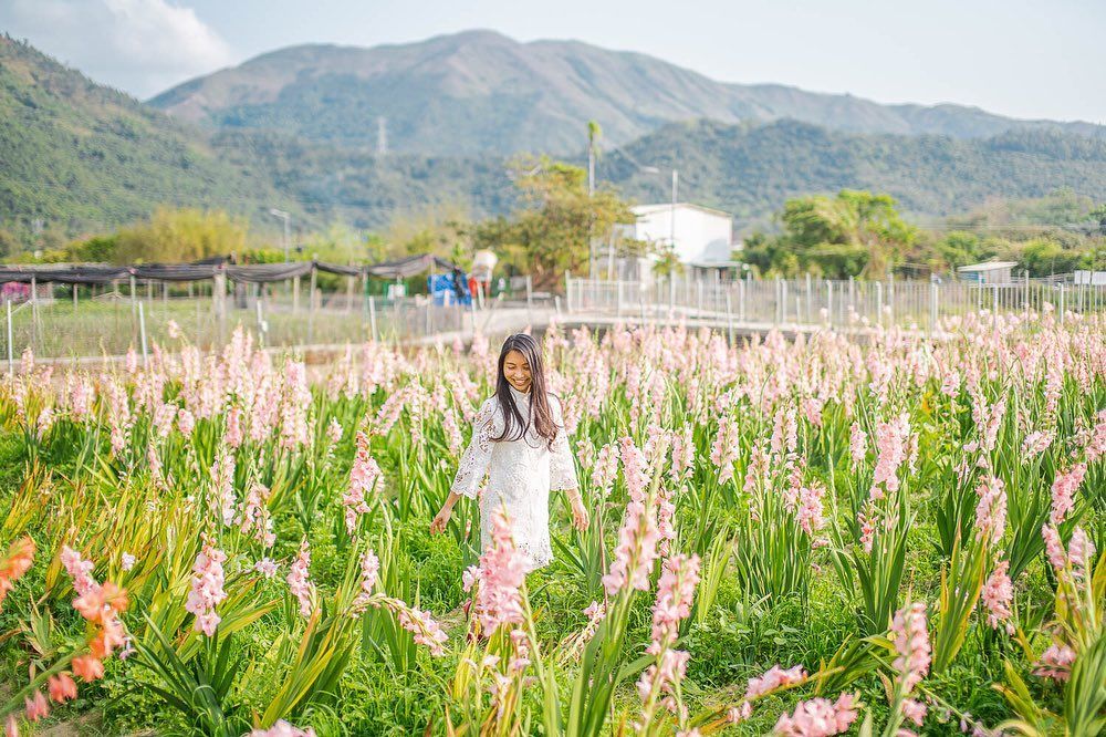 12 Instagrammable Flower Spots In Hong Kong You Should Visit | Tatler Asia