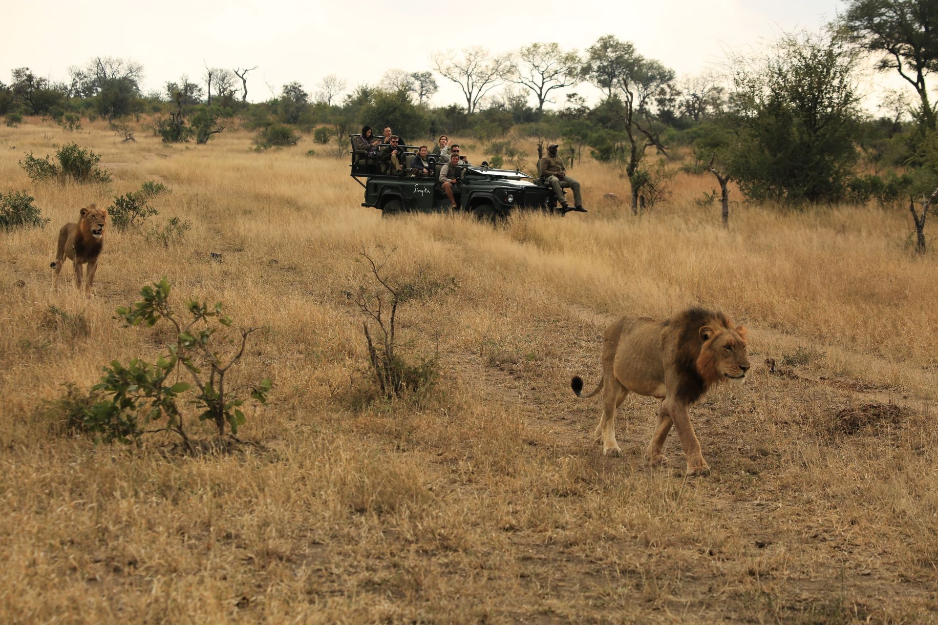Safari Tales: This Trip Needs To Be On Your Bucket List | Tatler Asia