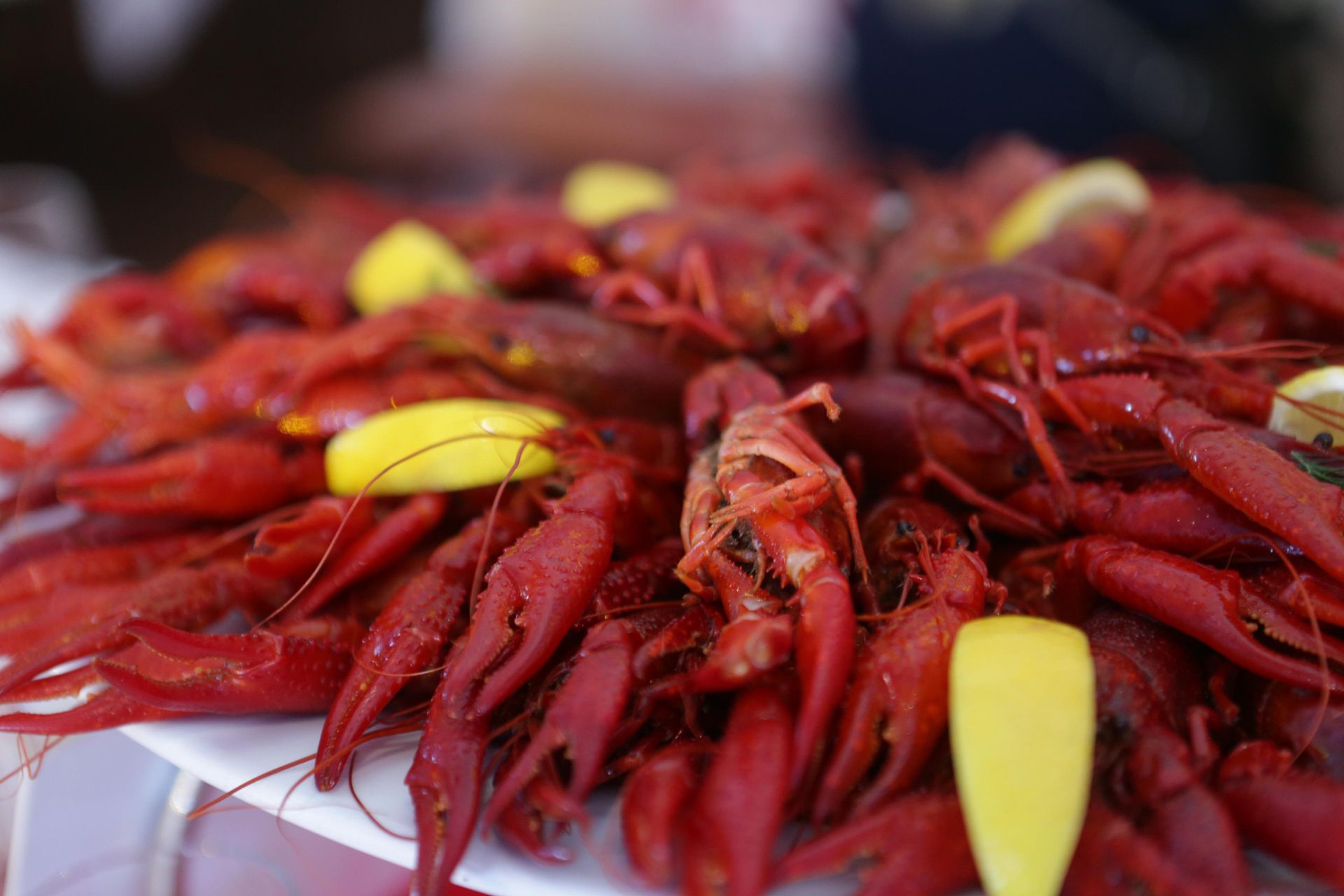 Crayfish Party At Sofitel Philippine Plaza Manila | Tatler Asia