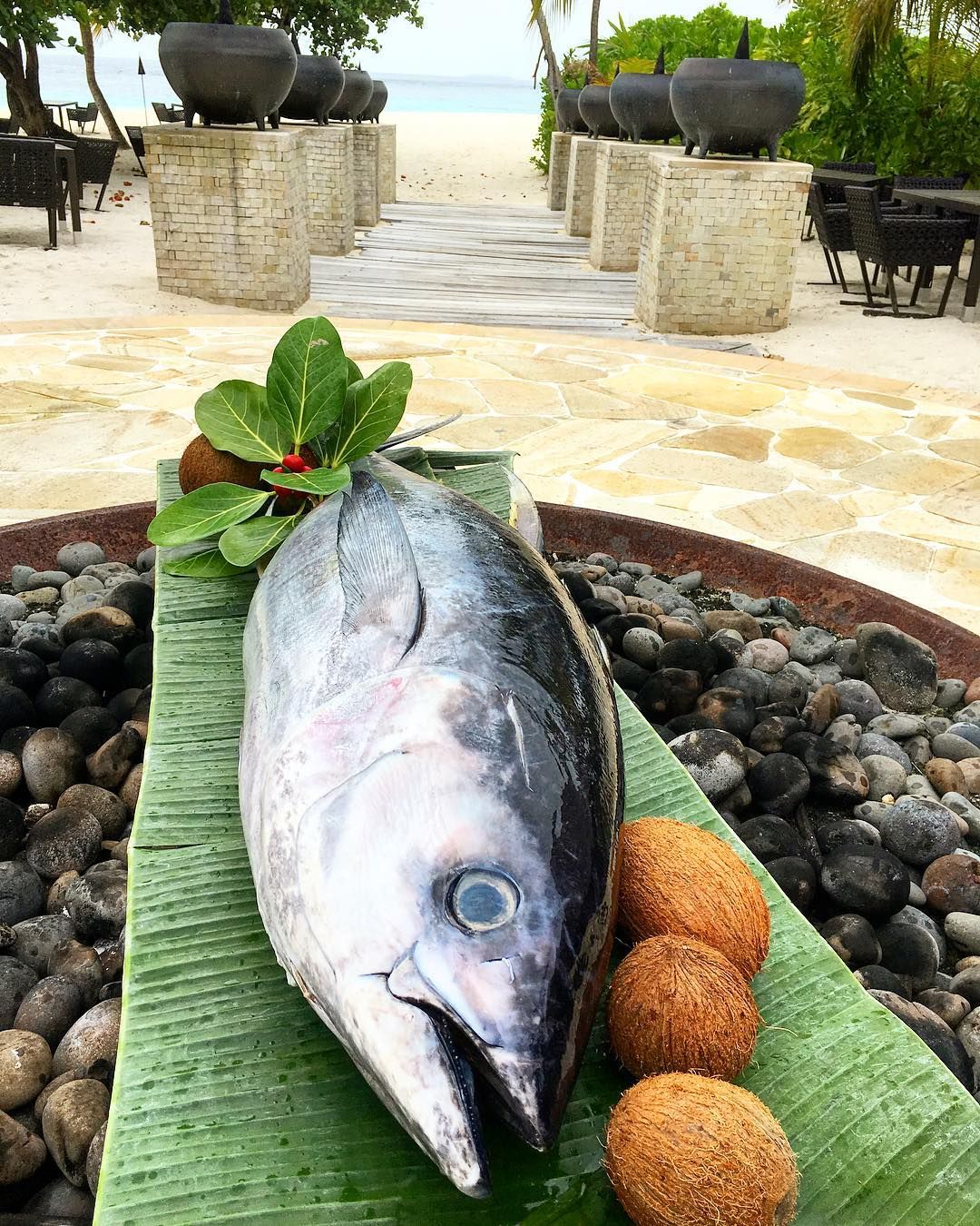 Chef Aaron Isip Takes Over The W Maldives Kitchen | Tatler Asia