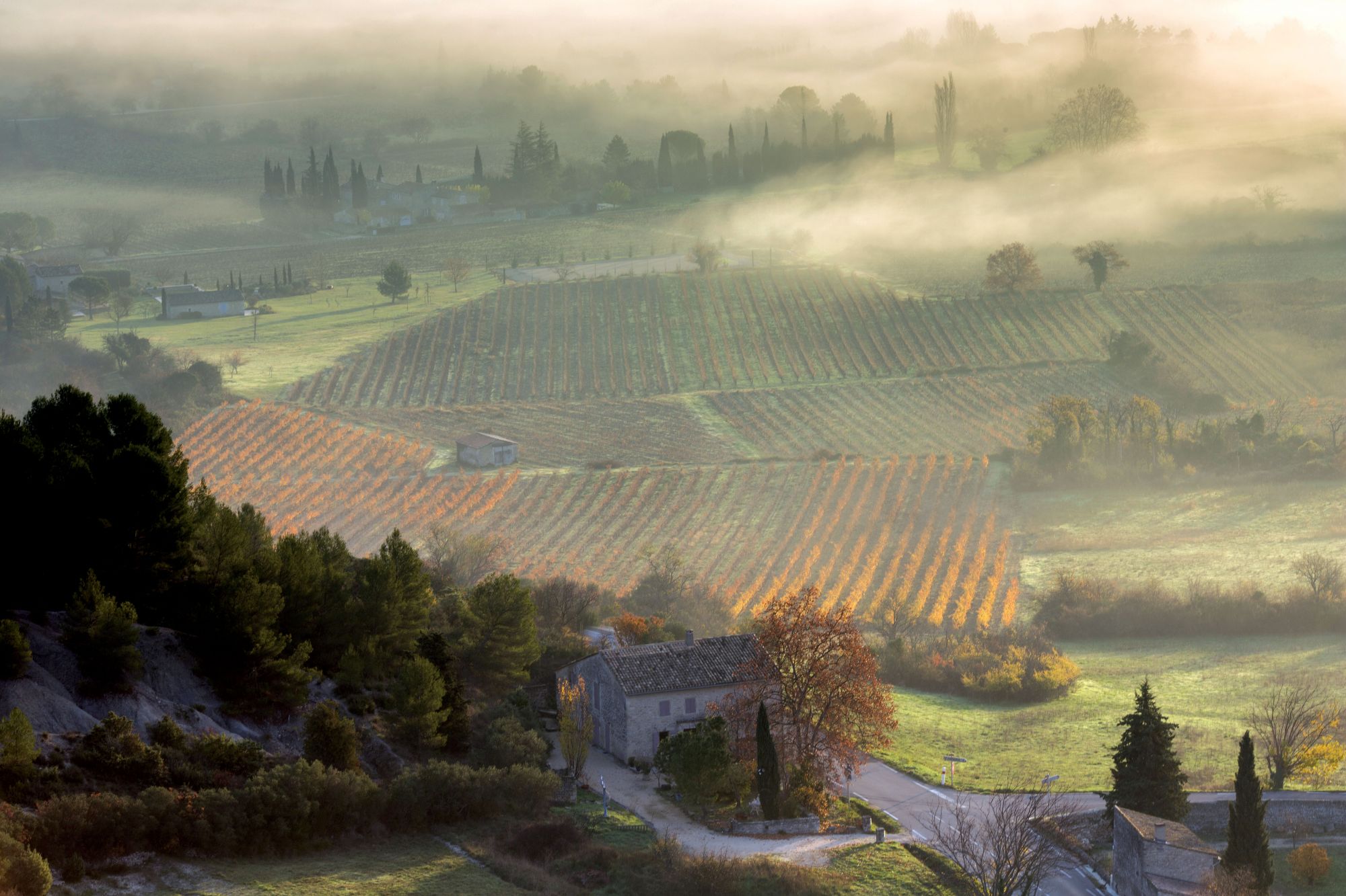 Home Tour: A Provençal Home WIth A Modern Spirit | Tatler Asia
