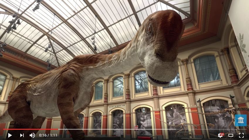 Google opens doors to virtual exhibit with leading natural history ...
