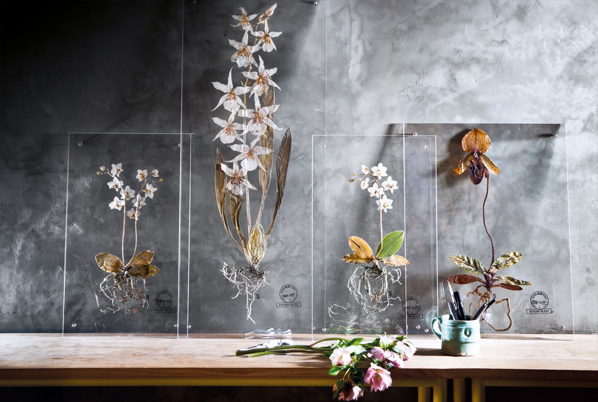 Ephemeral Bloom Tatler Asia
