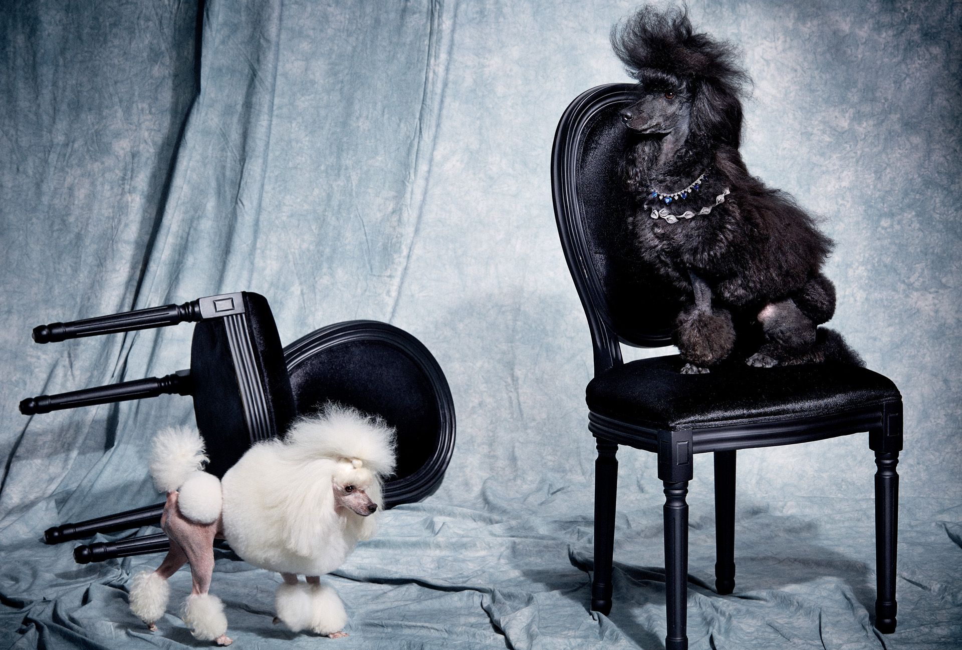 Precious Little Things | Tatler Asia