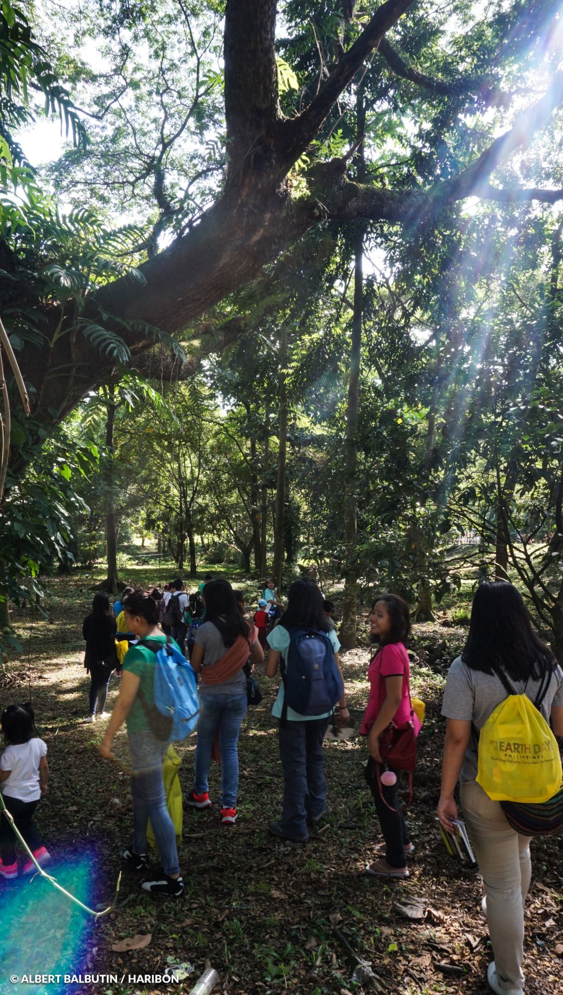 Looking For A Summer Adventure? Join A Native Tree Trek | Tatler Asia