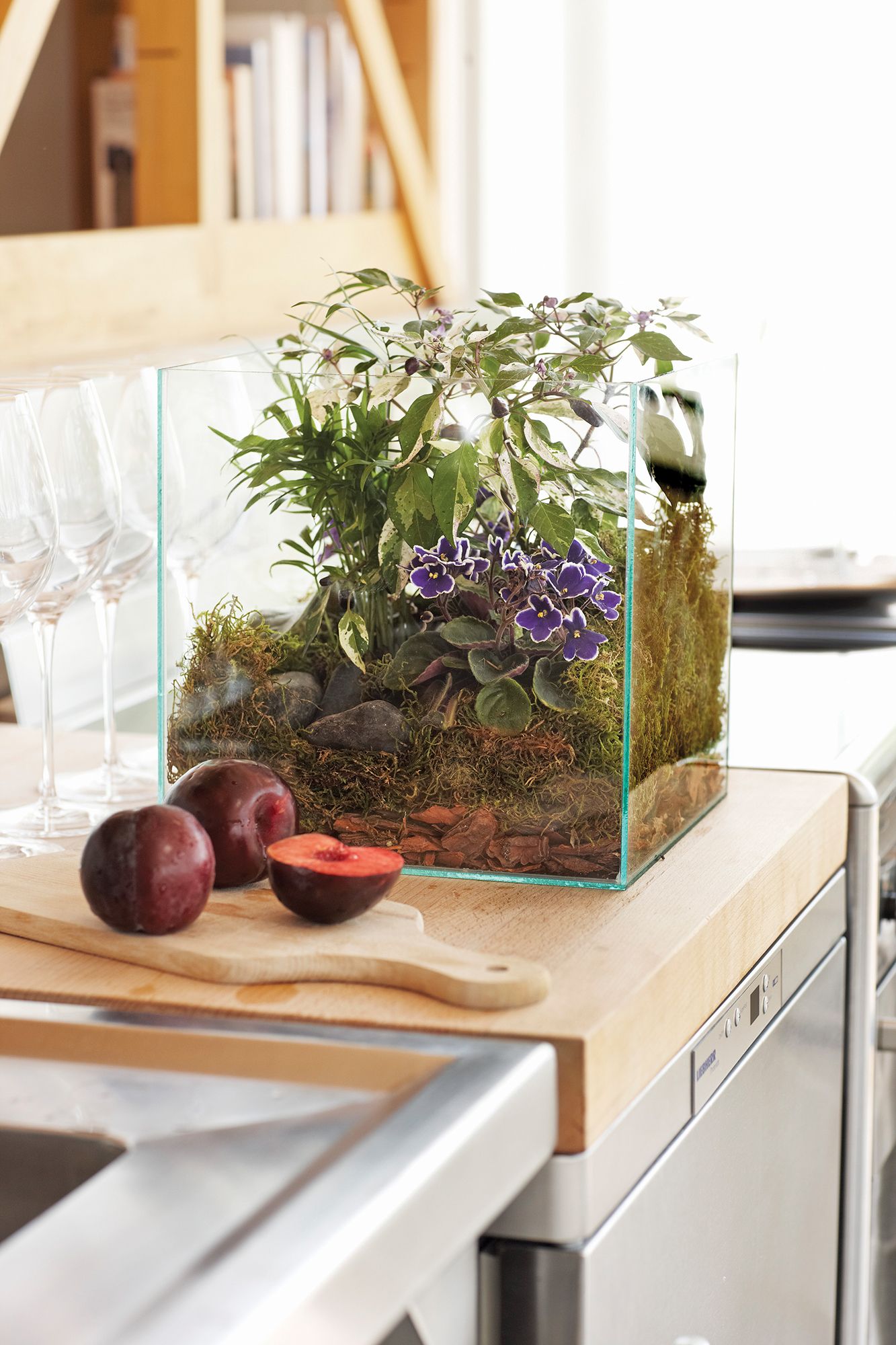 Here's How To Create Your Own Miniature Biotope For Your High-Rise ...