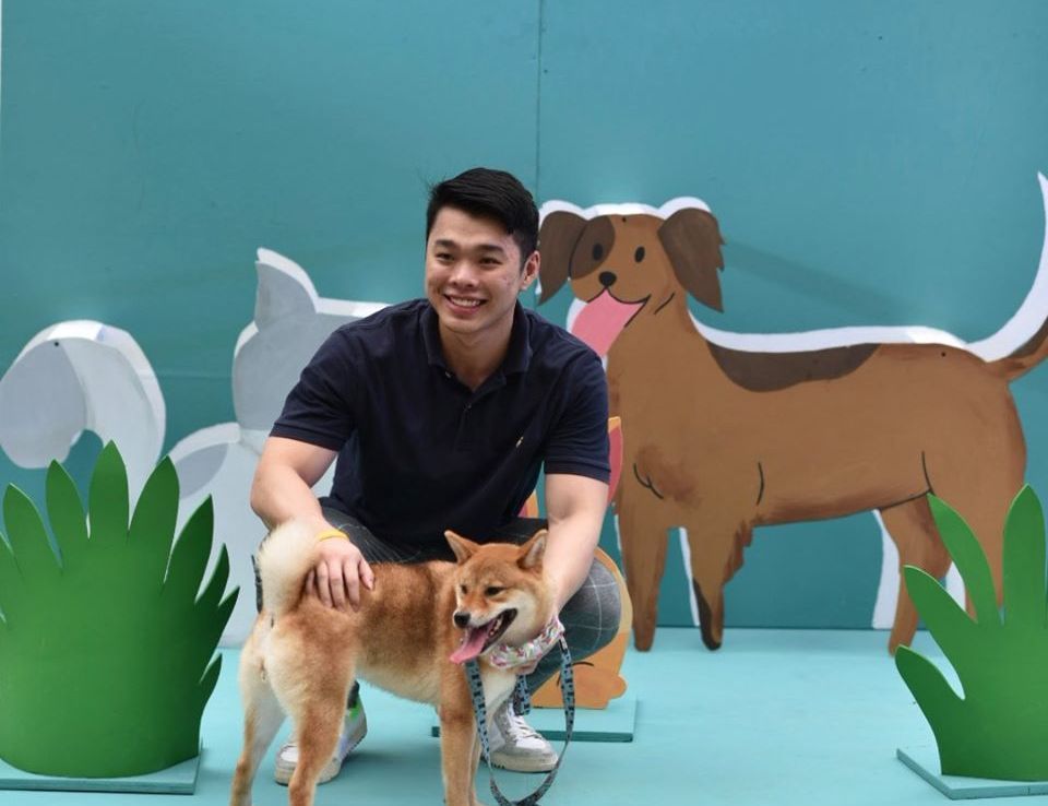 Pet-Friendly Destination: Ayala Malls Wins Award on World Animal Day ...