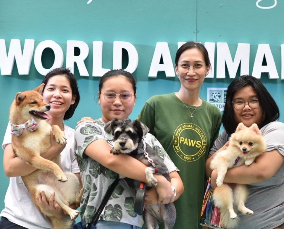 Pet-Friendly Destination: Ayala Malls Wins Award on World Animal Day ...