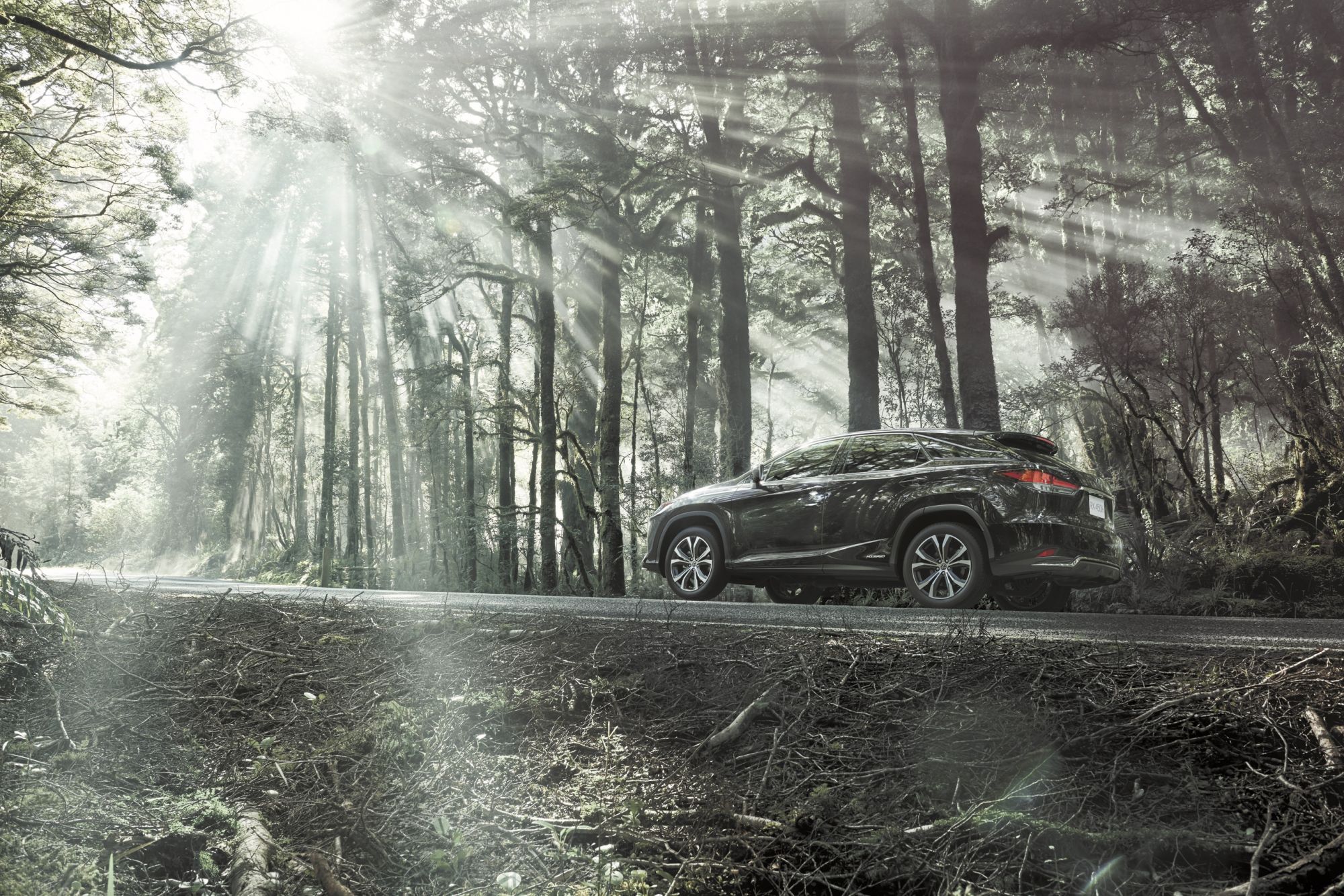 Lexus RX: The Luxury SUV That Can Steer Through Any Road Condition ...