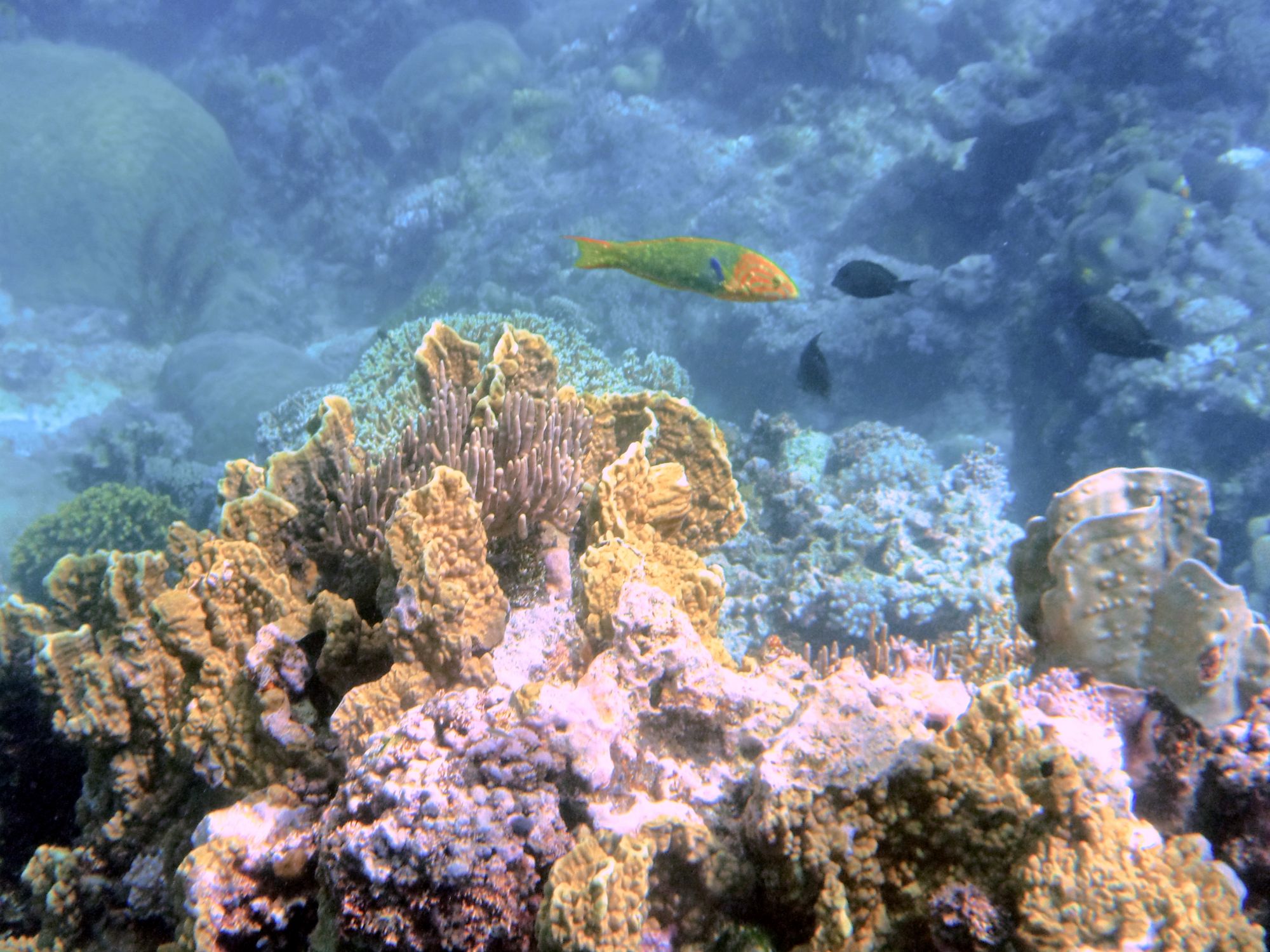 5 Things We Miss About Travelling To Batanes, Philippines | Tatler Asia