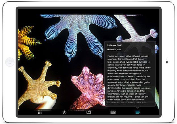 5 Fun Educational Apps Your Kids Will Love | Tatler Asia