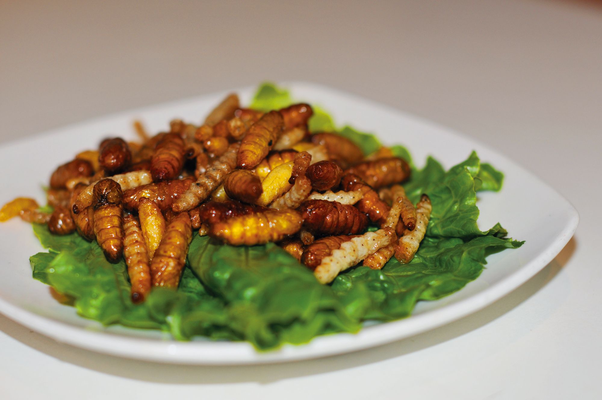 Can You Handle A Meat-Free Future? | Tatler Asia