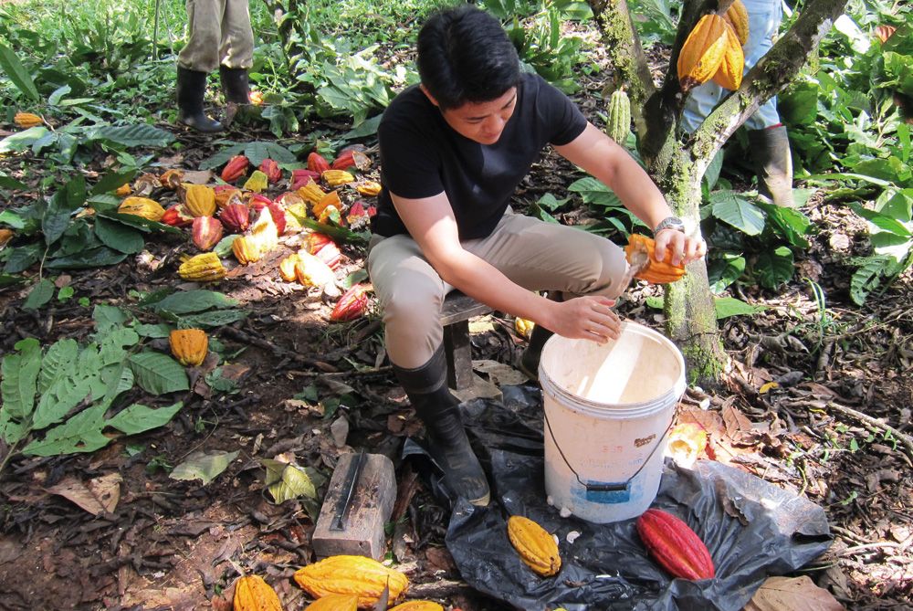 A Peek At Our Evolving Love For Chocolate | Tatler Asia