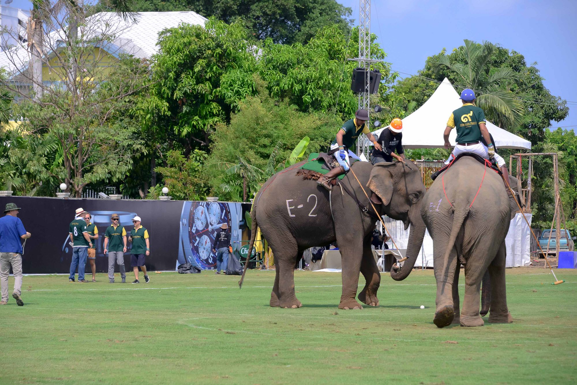 14th King’s Cup Elephant Polo Tournament | Tatler Asia