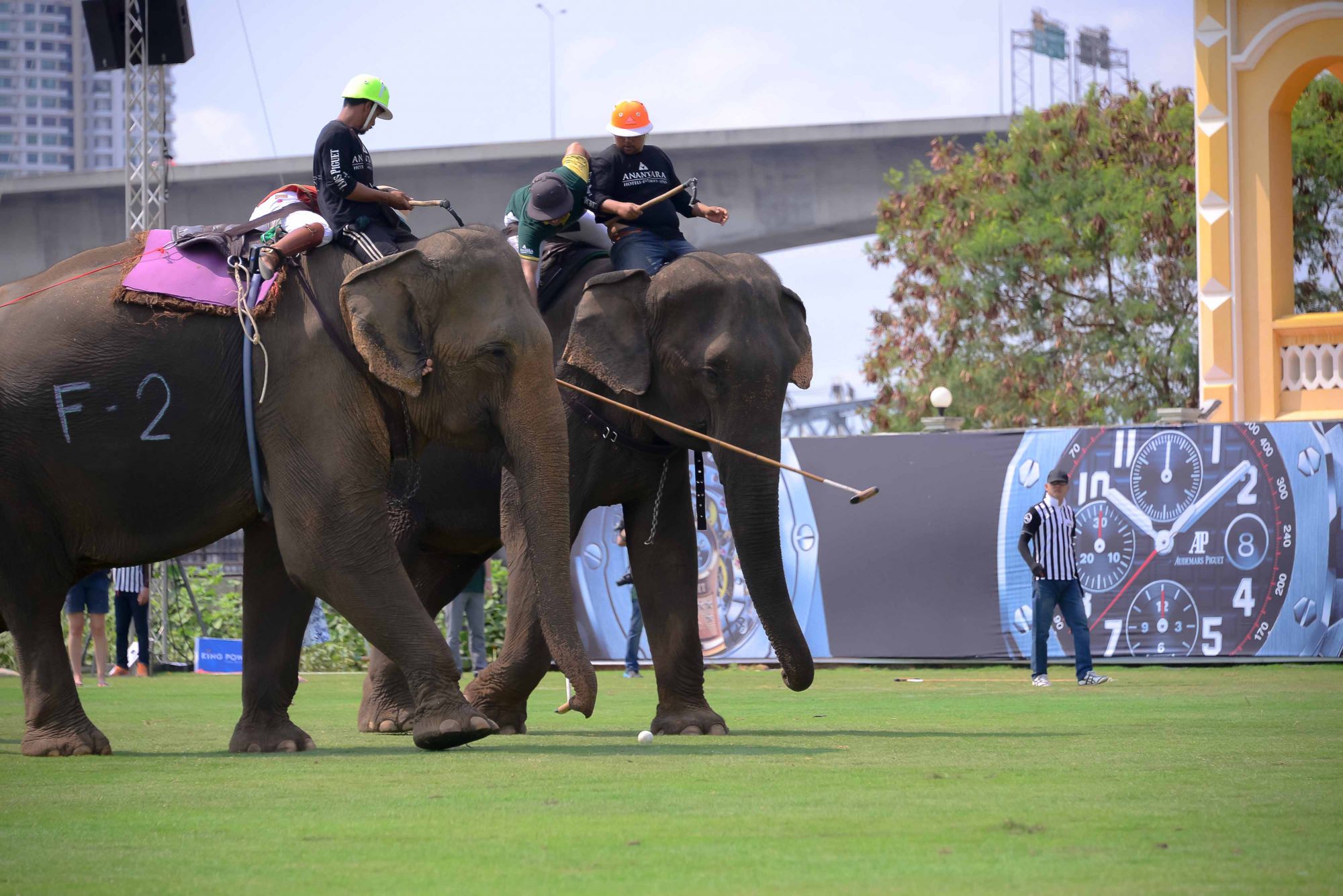 14th King’s Cup Elephant Polo Tournament | Tatler Asia