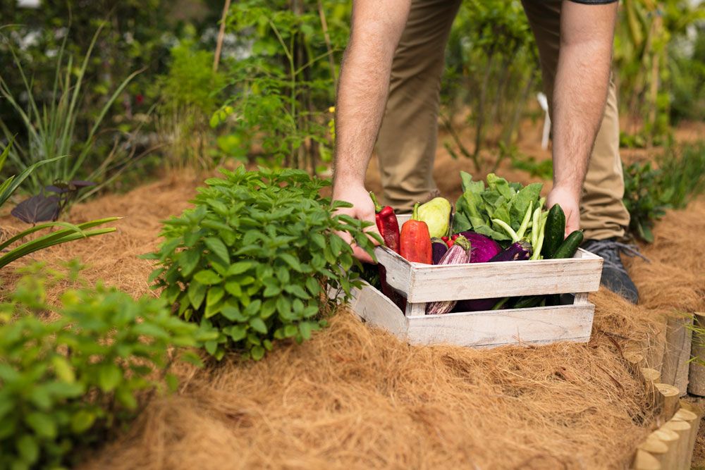 Fresh From The Source 4 Farm To Table Restaurants In Singapore