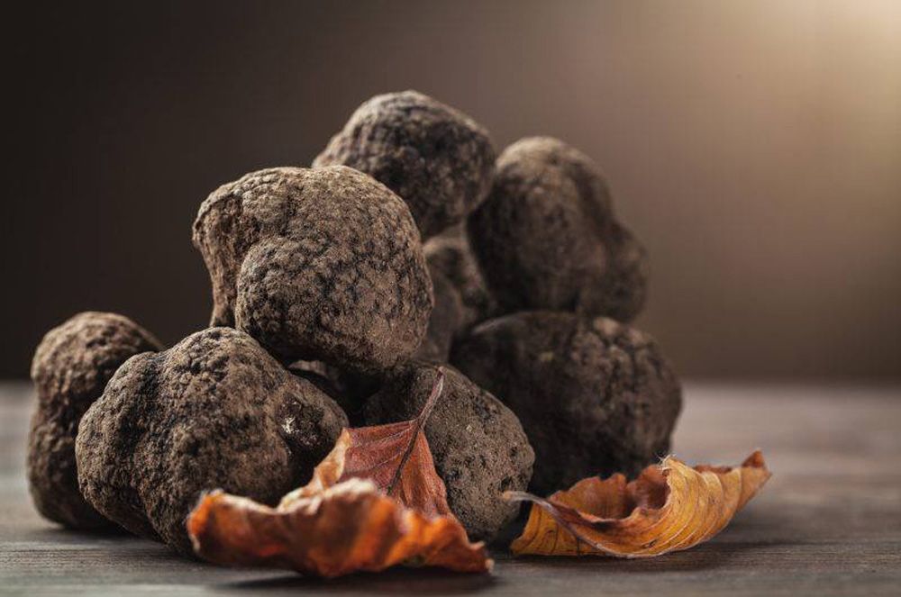 Indulge in Stellar at 1-Altitude’s Truffle Menu This July | Tatler Asia