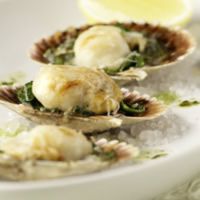 The Nautilus Project | Tatler Asia