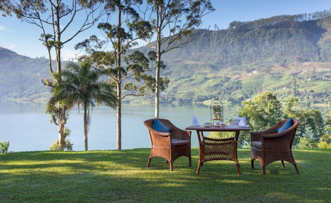 4 of the Best Luxury Tea Resorts in the World | Tatler Asia
