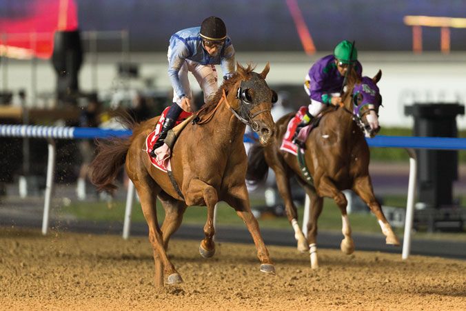 Why The Dubai World Cup Is The Horse Race To Be Seen At | Tatler Asia