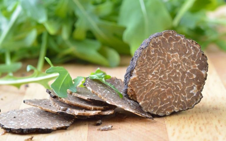Scientist harvests first British-cultivated truffle | Tatler Asia