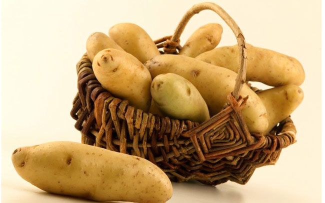 Potato extract stabilizes weight despite calorie-laden diet: study ...