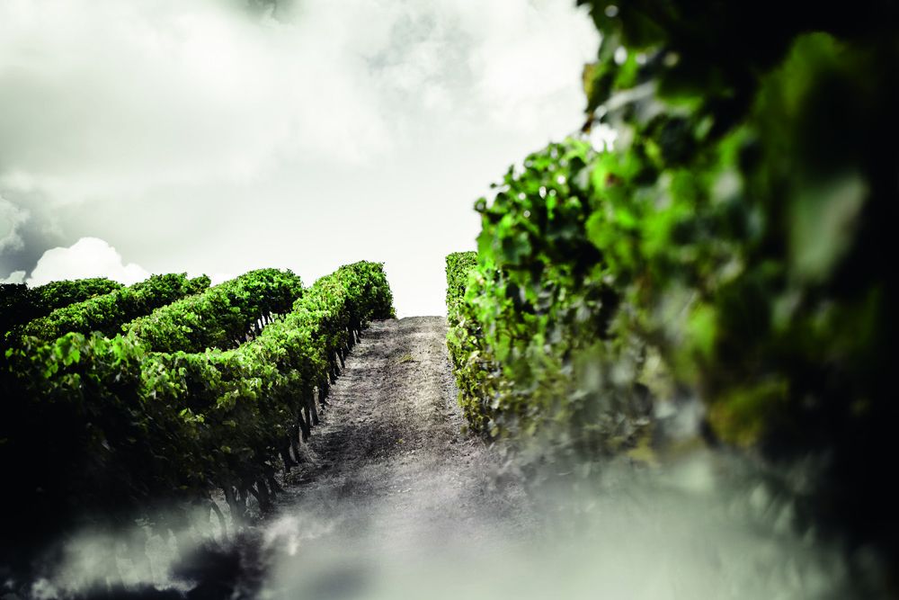 Thinking A Century Ahead With Louis XIII Black Pearl AHD: Doreen and ...