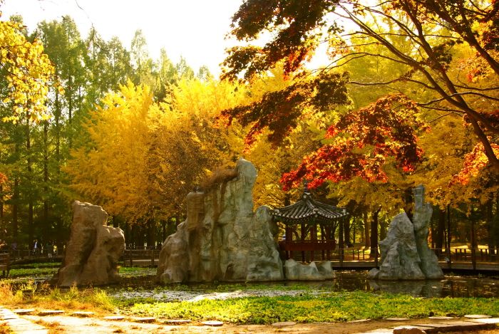 5 Unique Destinations To See Beautiful Autumn Leaves In Asia | Tatler Asia