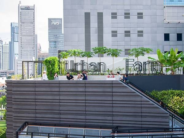 Urban Rooftop Farming Is Becoming More Than Just A Trend In Singapore ...