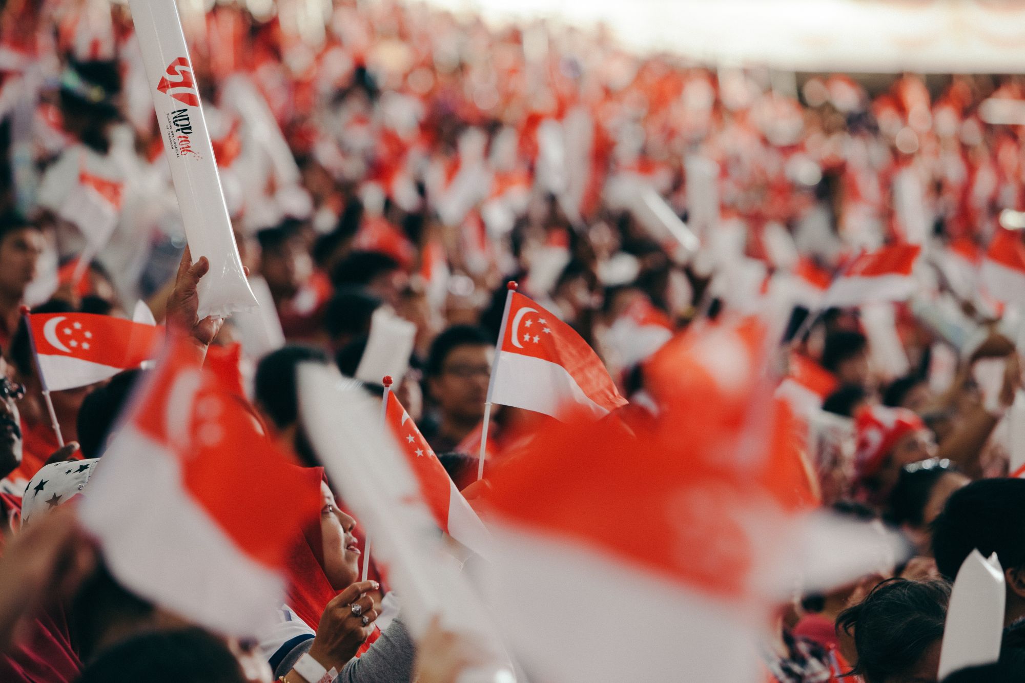 What To Do For National Day 2020: Watch the SAF Red Lions in Action ...