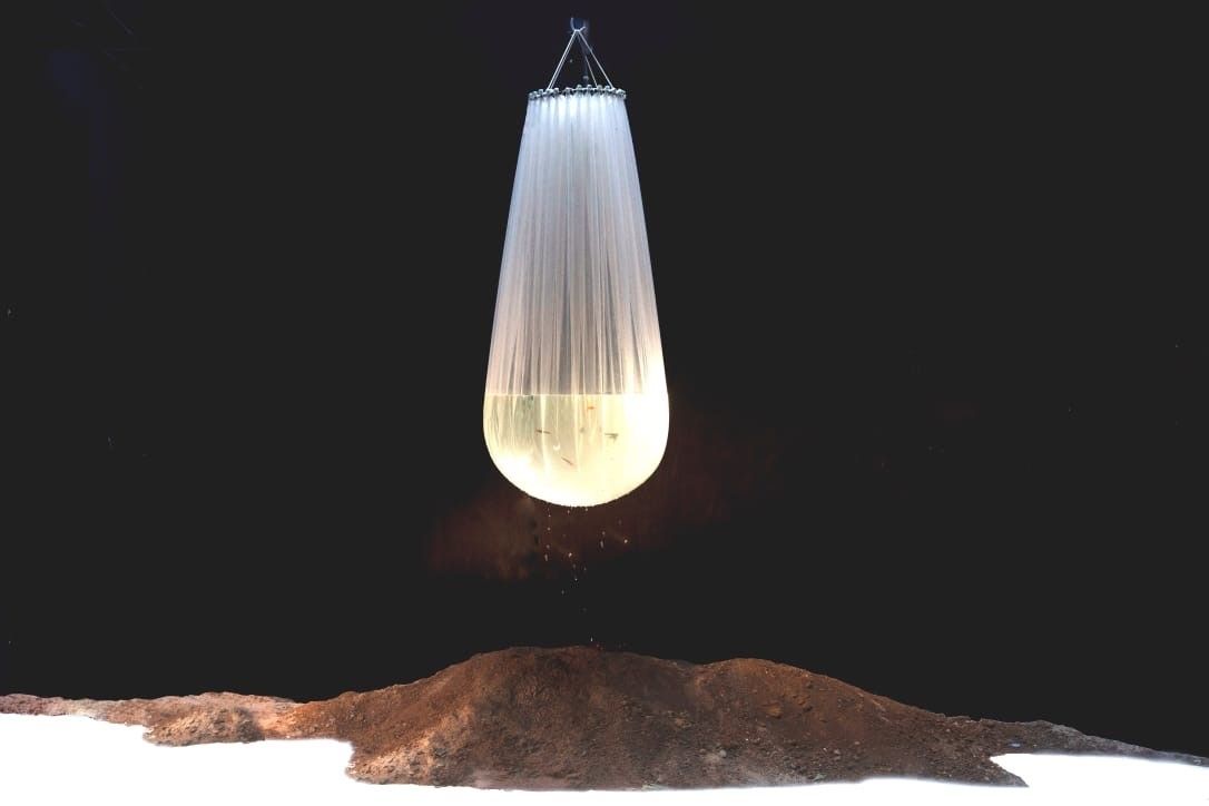 Singapore Art Week 2021: 5 Digital Highlights | Tatler Asia