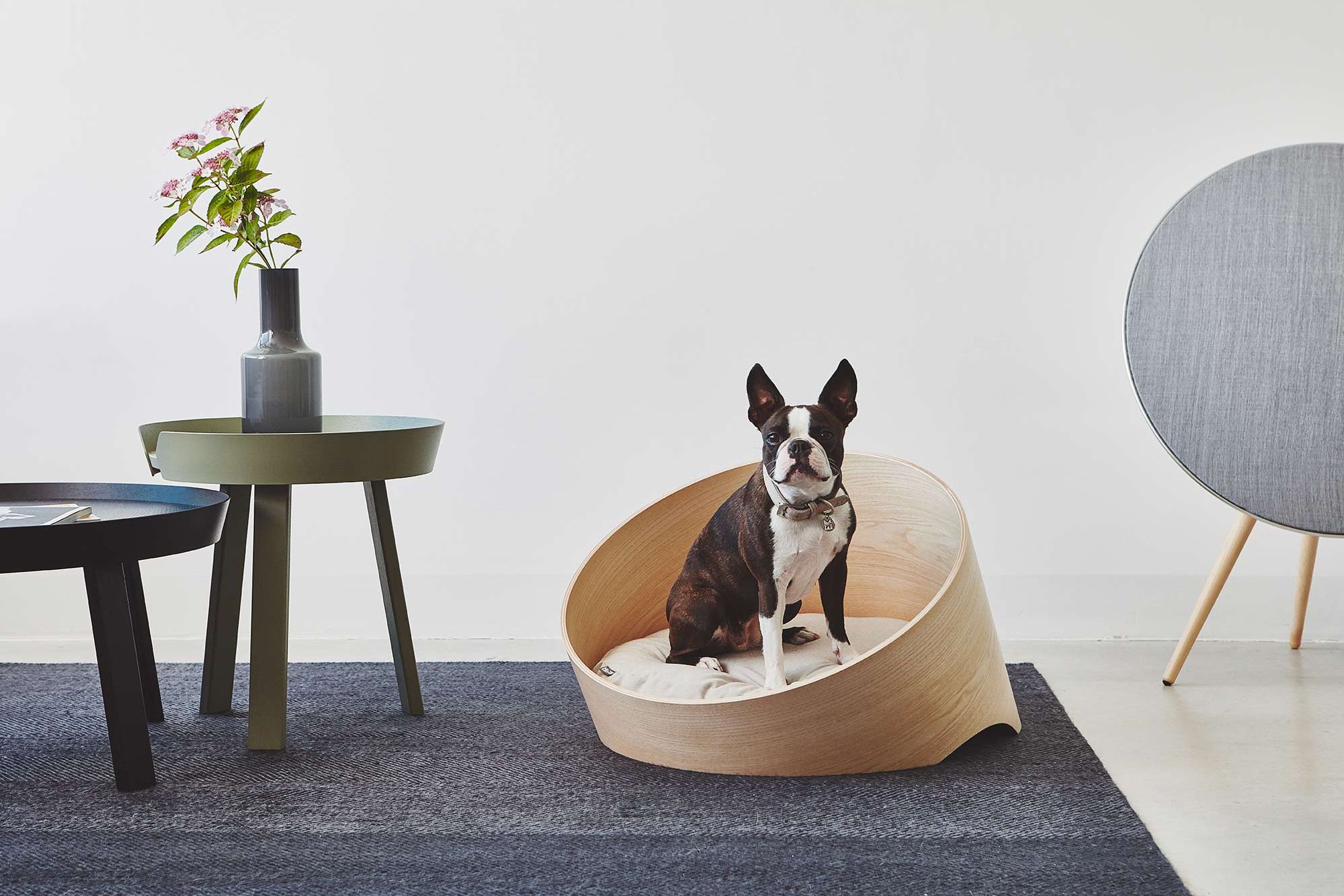 How To Design A Pet Friendly Living Room Tatler Asia