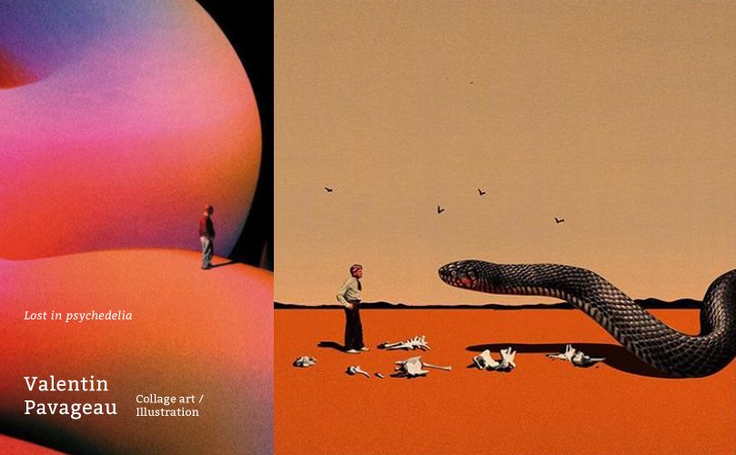 你也曾夢到蛇嗎？超現實的夢境就讓法國插畫家 Valentin Pavageau 用畫作呈現～ | Tatler Asia