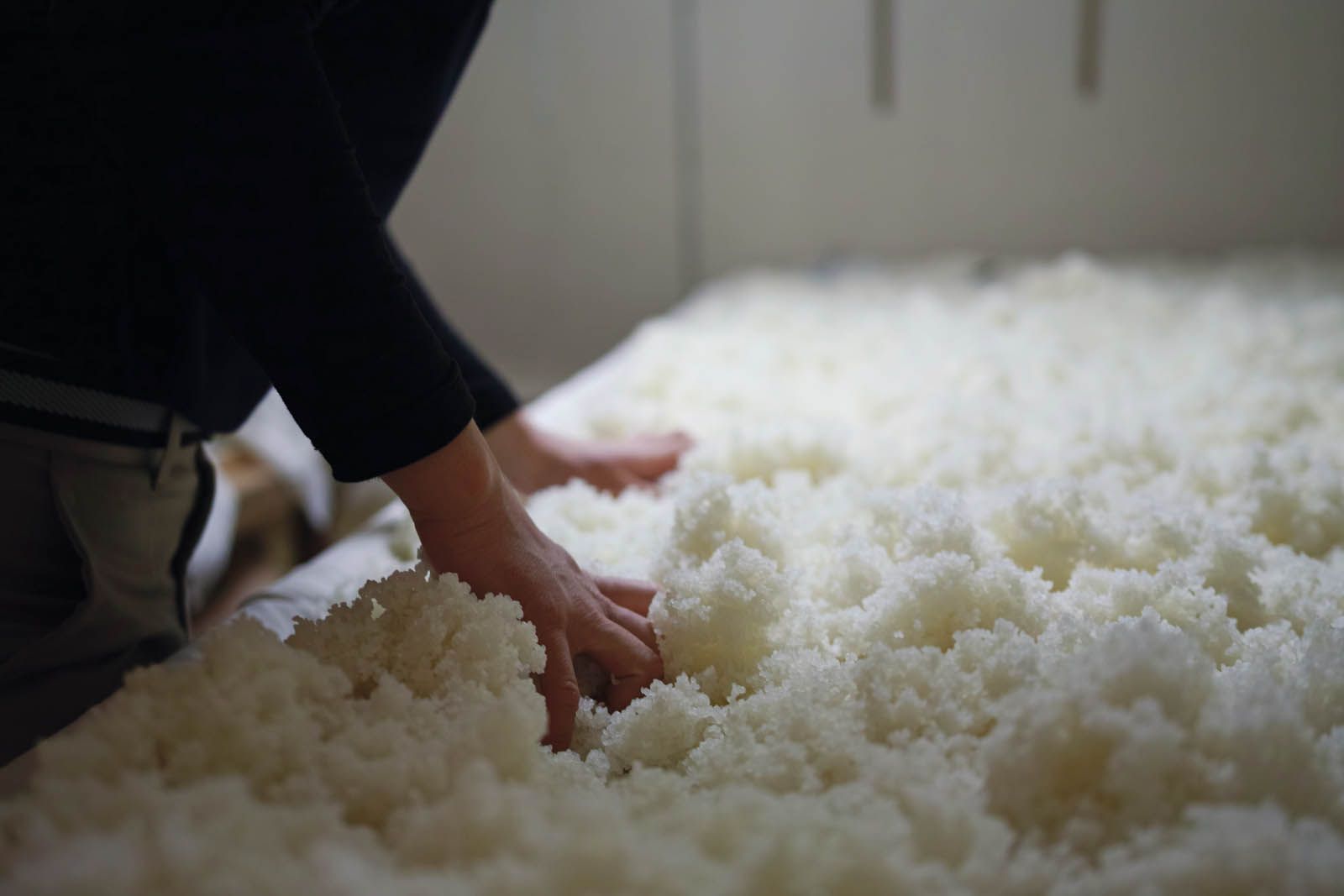 What Makes Sake The Perfect Choice For Any Dish | Tatler Asia