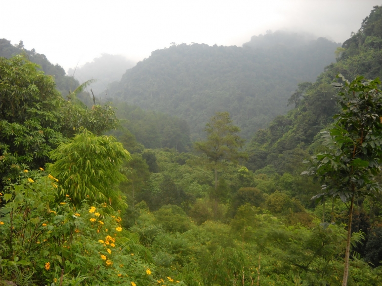 10 Nature Attractions Near Jakarta That Are Perfect For Your Weekend ...