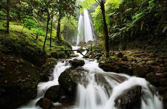 8 Natural Attractions In Central Java Perfect For A Family Vacation ...