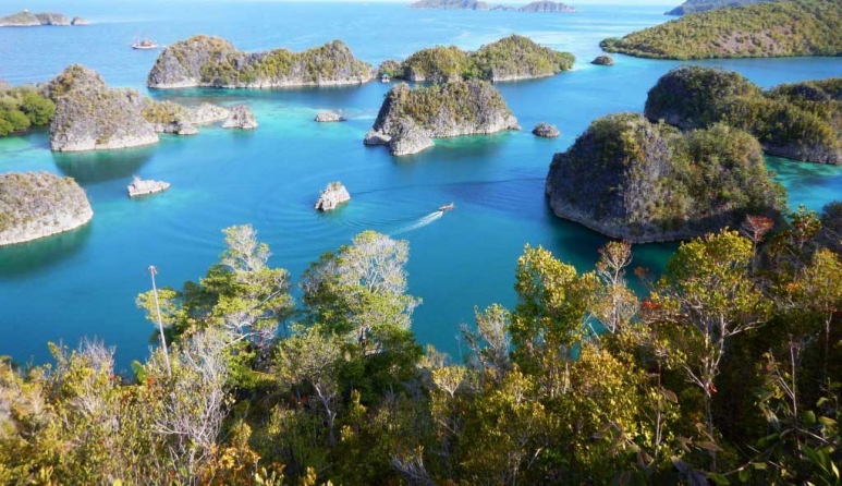 5 Breathtaking Spots in Papua You Should Visit | Tatler Asia
