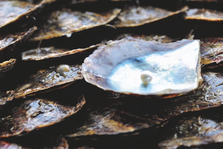 Witnessing the Birth of the Jewel of the Sea | Tatler Asia