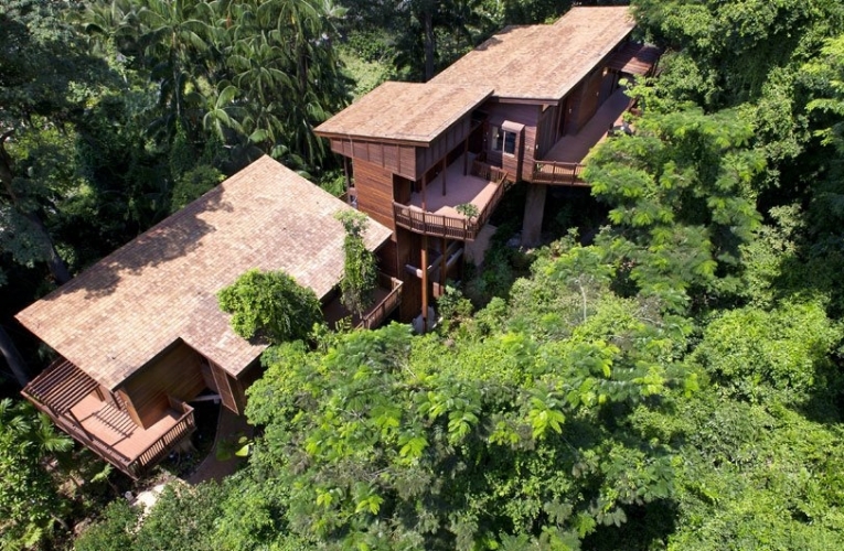 5 Luxurious Treetop Lodgings around the World | Tatler Asia